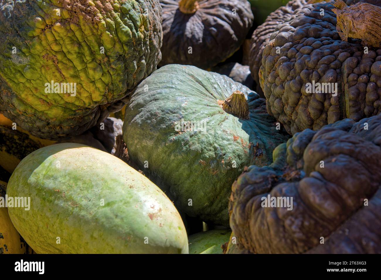 Fond et texture hi-res stock photography and images - Alamy
