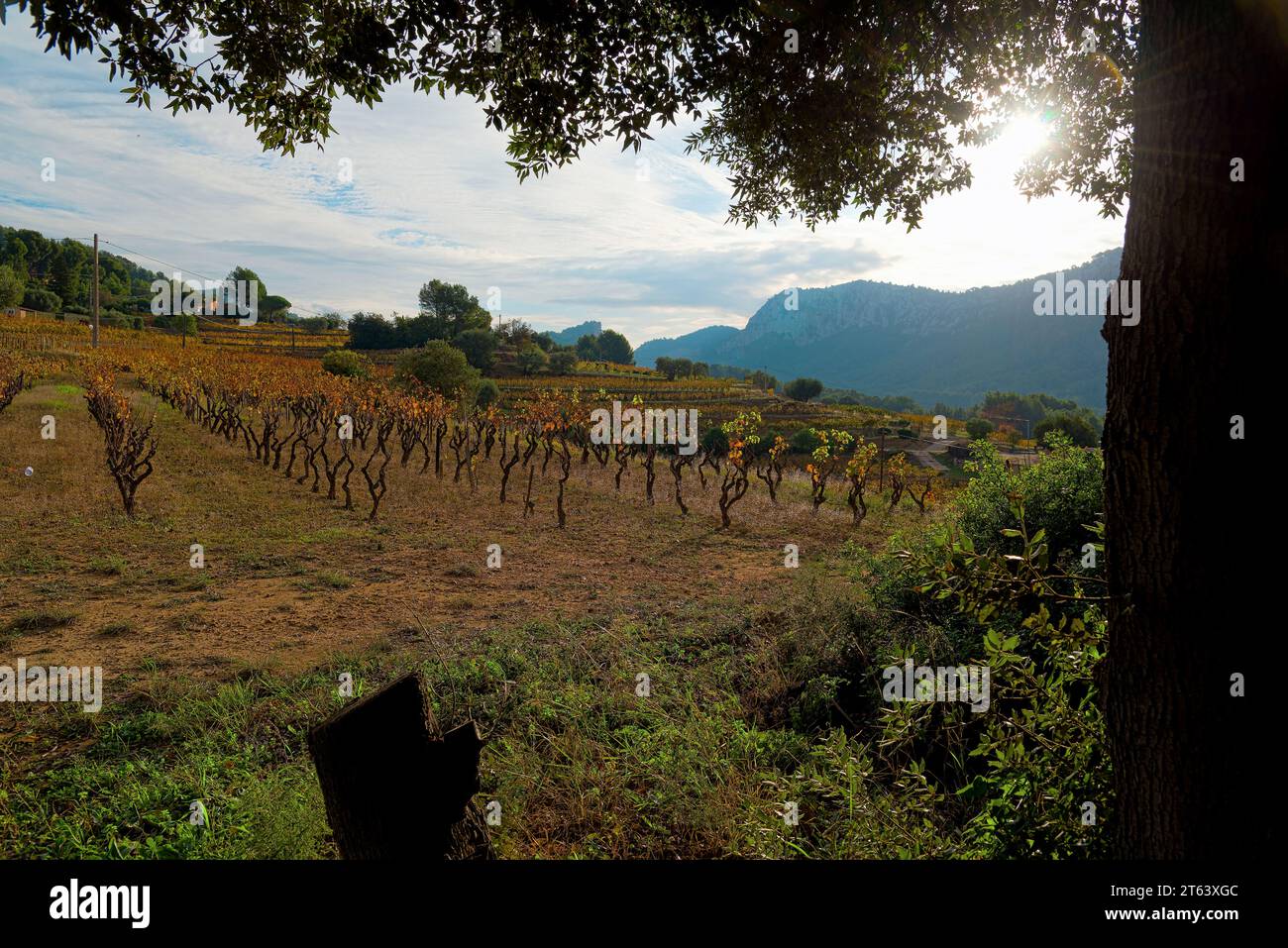 Fort de pipaudon hi-res stock photography and images - Alamy