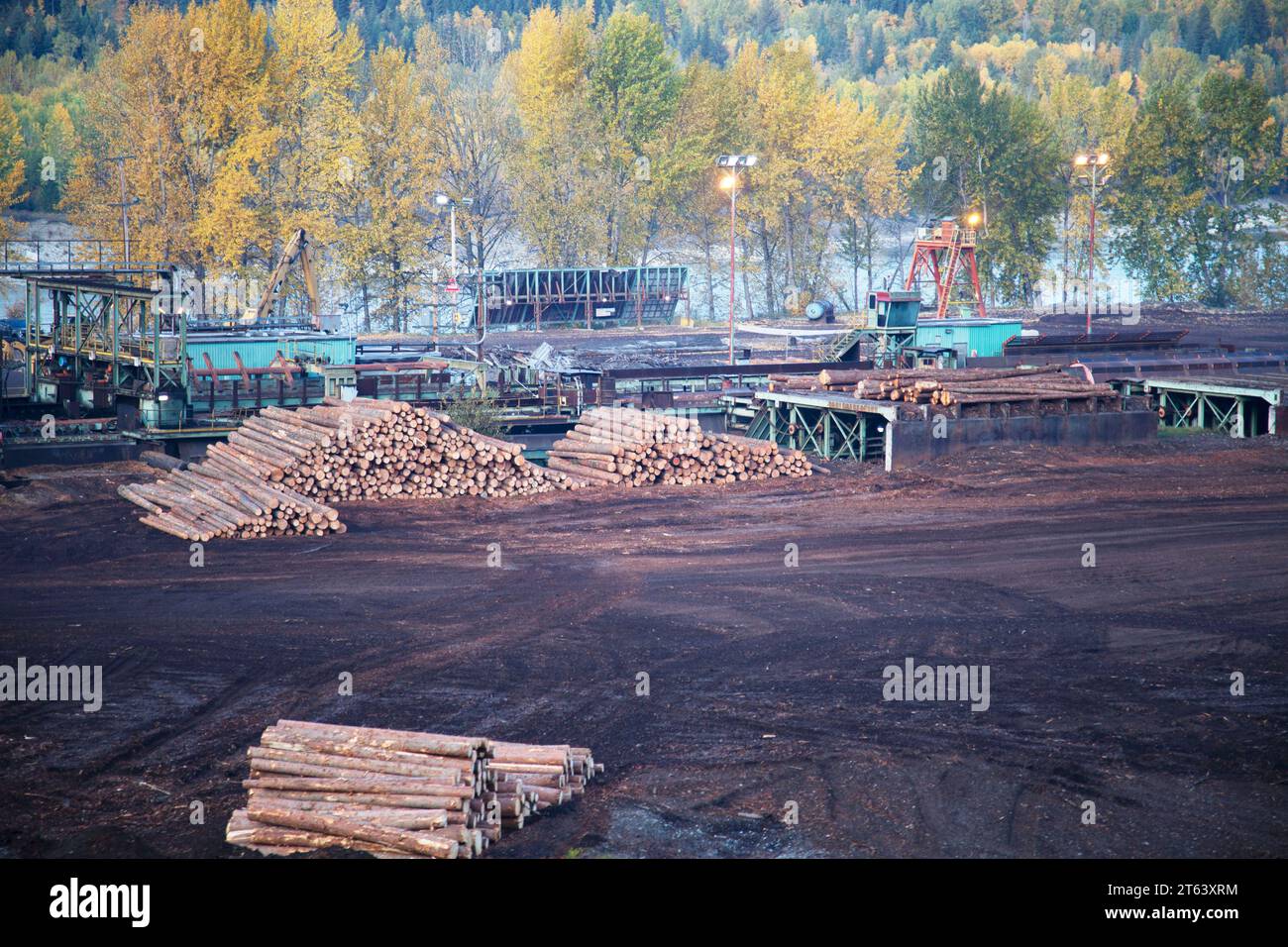 Timber processing plant hi-res stock photography and images - Alamy