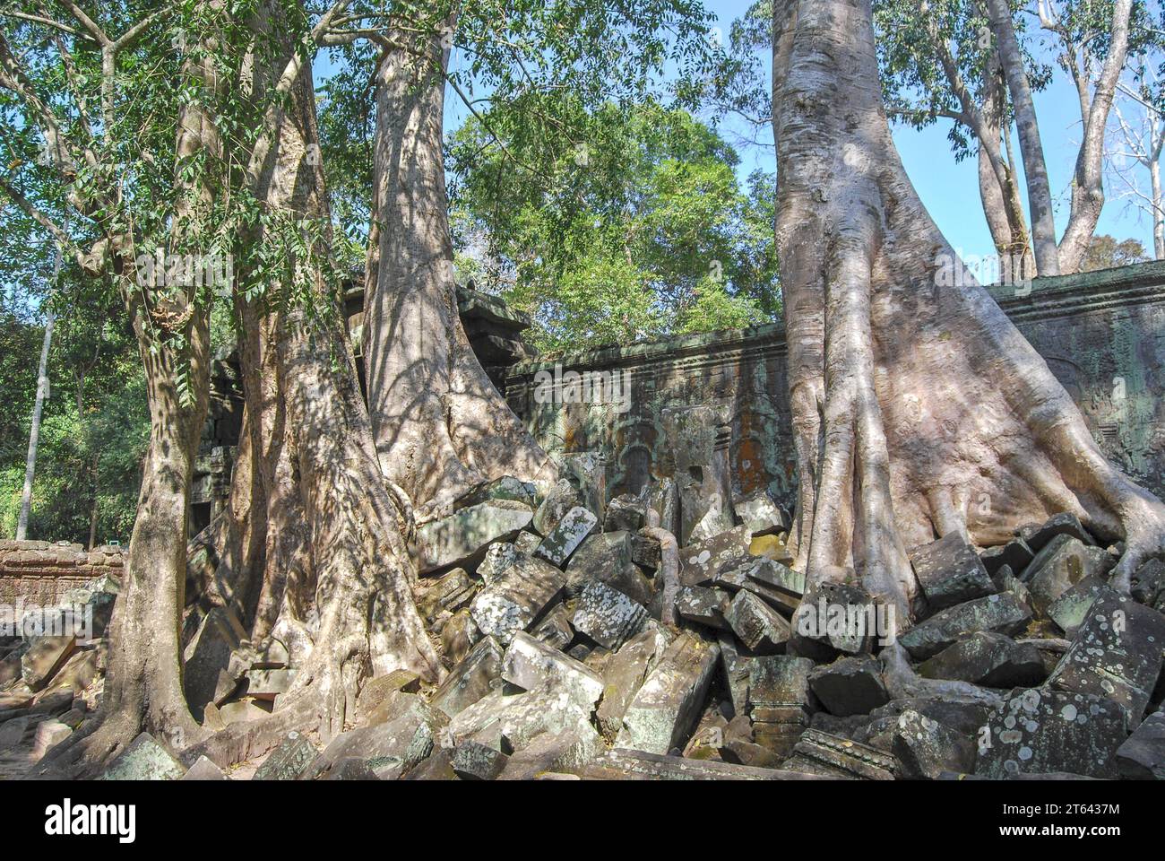 The ruins of the wall of the temple Ta Prohm. Angkor Thom. Cambodia ...