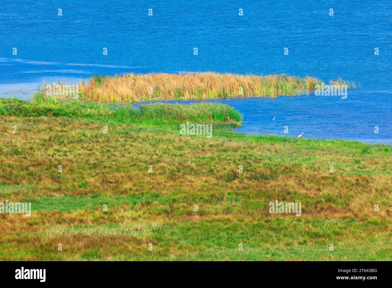 Riverside family harmony hi-res stock photography and images - Alamy