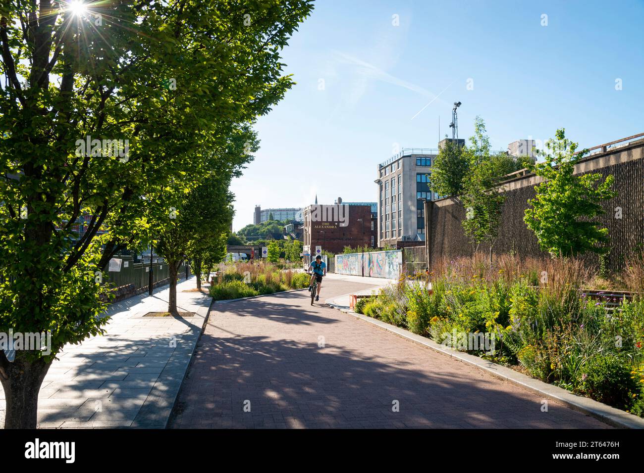 Grey to green hi-res stock photography and images - Alamy