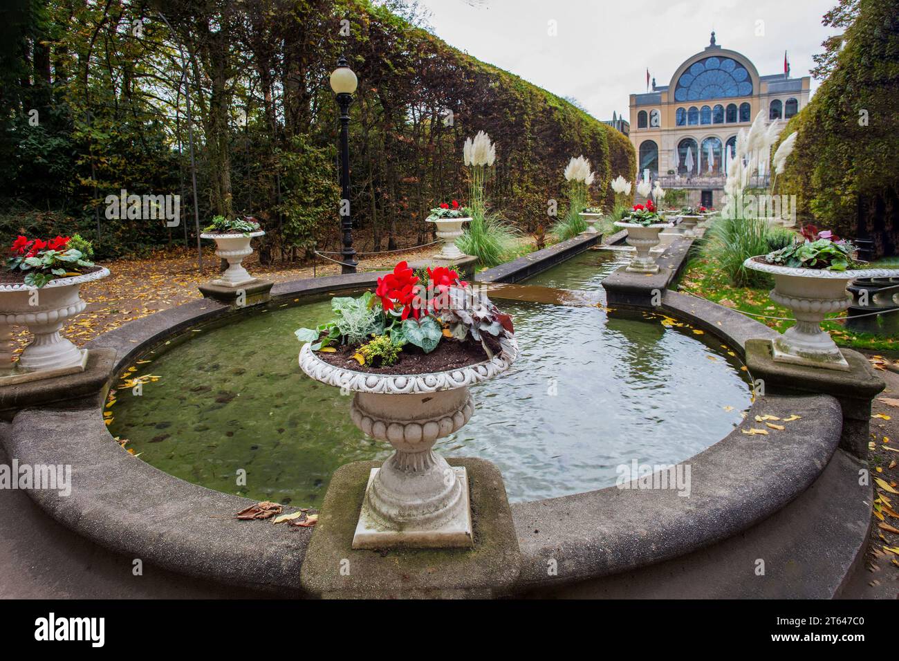 Autumn awe view on park Flora in Cologne with cyclamen flowers and ...