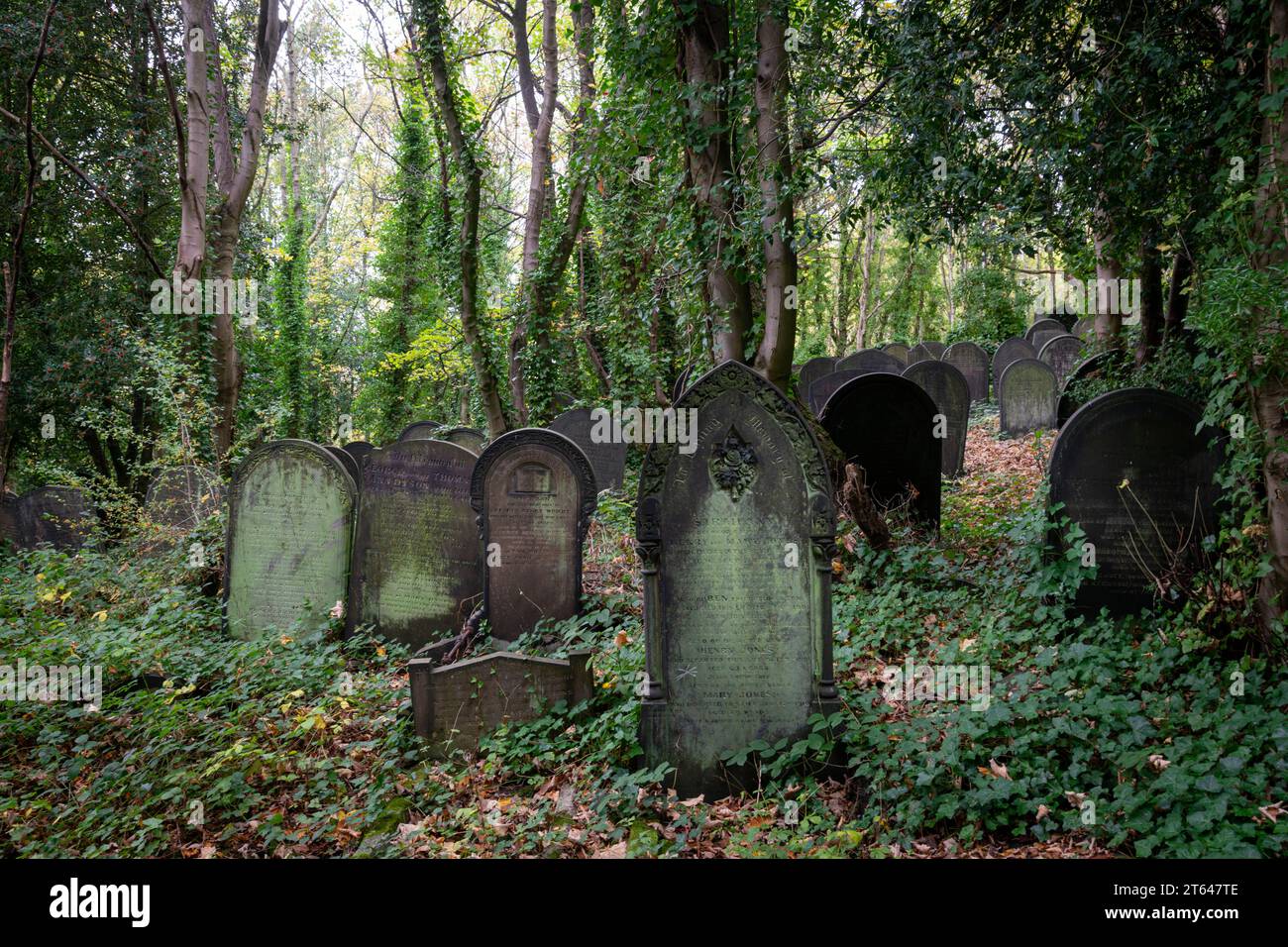 Eerie graves hi-res stock photography and images - Alamy
