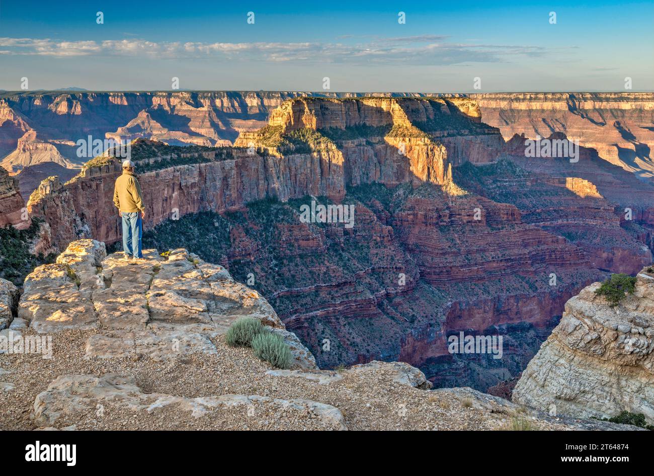 Grand Canyon at sunrise, view near Wedding Point, Cape Royal, North Rim ...
