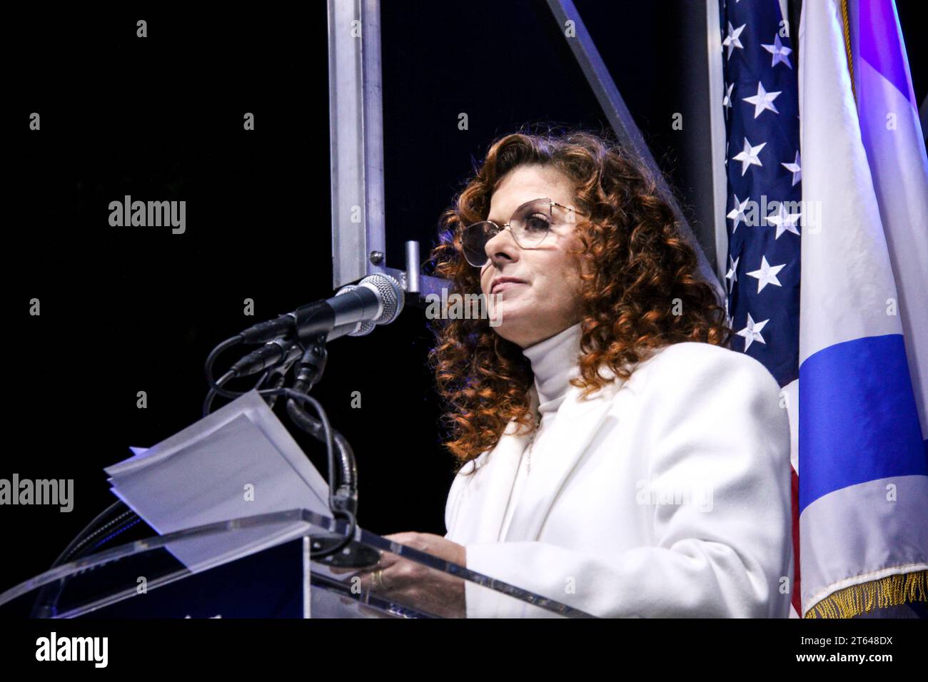 Actress Debra Messing speaks at the rally "30 Days Later"- Coming ...