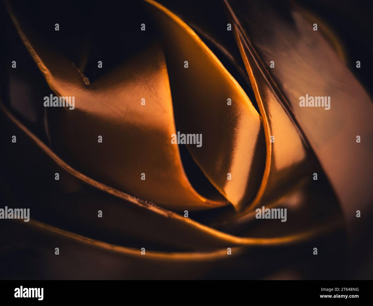 Kelp images hi-res stock photography and images - Alamy