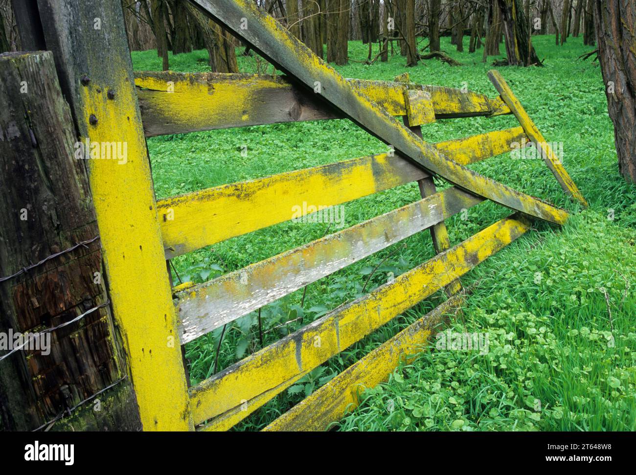 Ranch gate, Columbia River Gorge National Scenic Area, Washington Stock ...