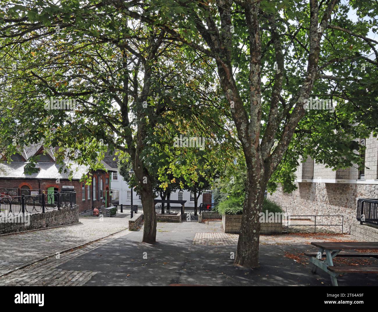 A square in Plymouth City Centre called Sir John Hawkins Square could ...