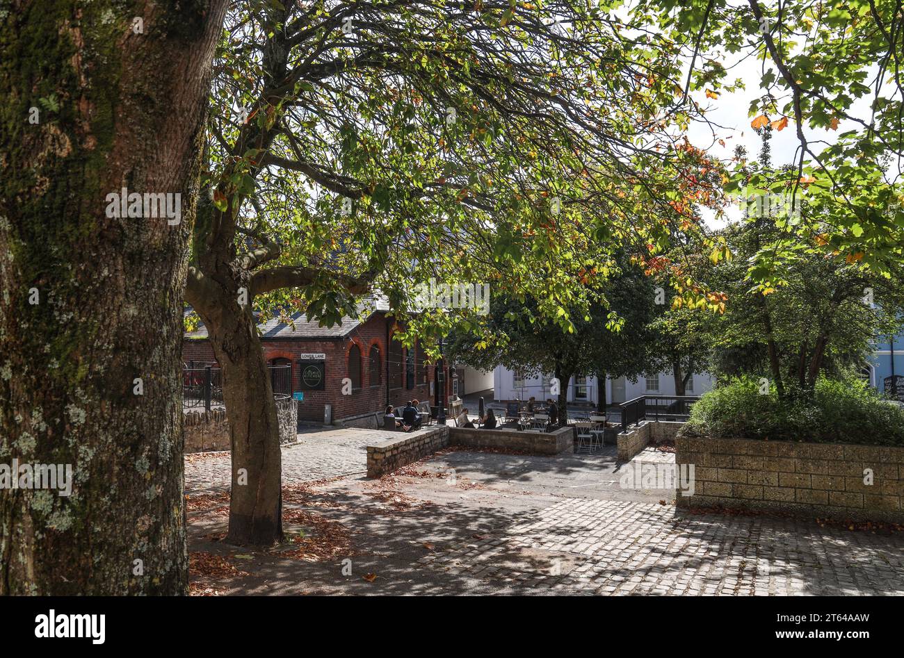 The leaves are turning brown at Sir John Hawkins Square in Plymouth ...