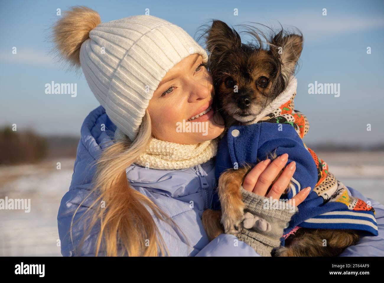 The bond between a dog and its owner Stock Photo - Alamy