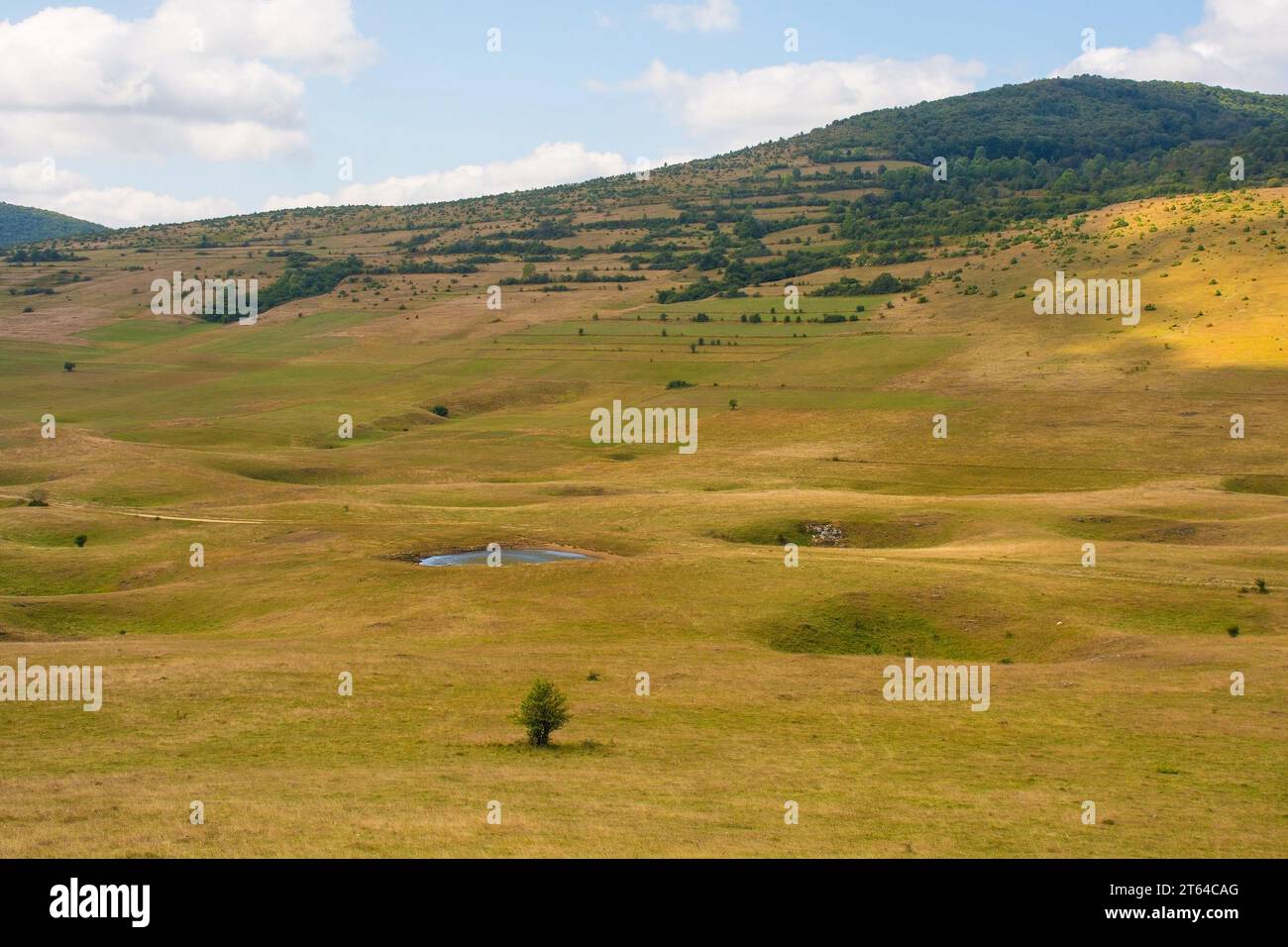 Sinkholes in the Bravsko Polje karst landscape near Bosanski Petrovac ...