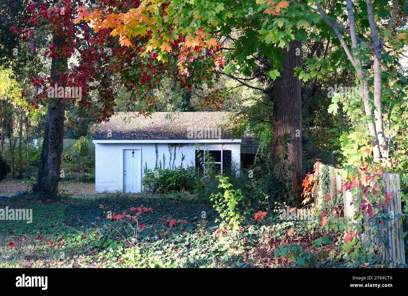 Shed and Trees With Colorful Leaves Stock Photo - Alamy