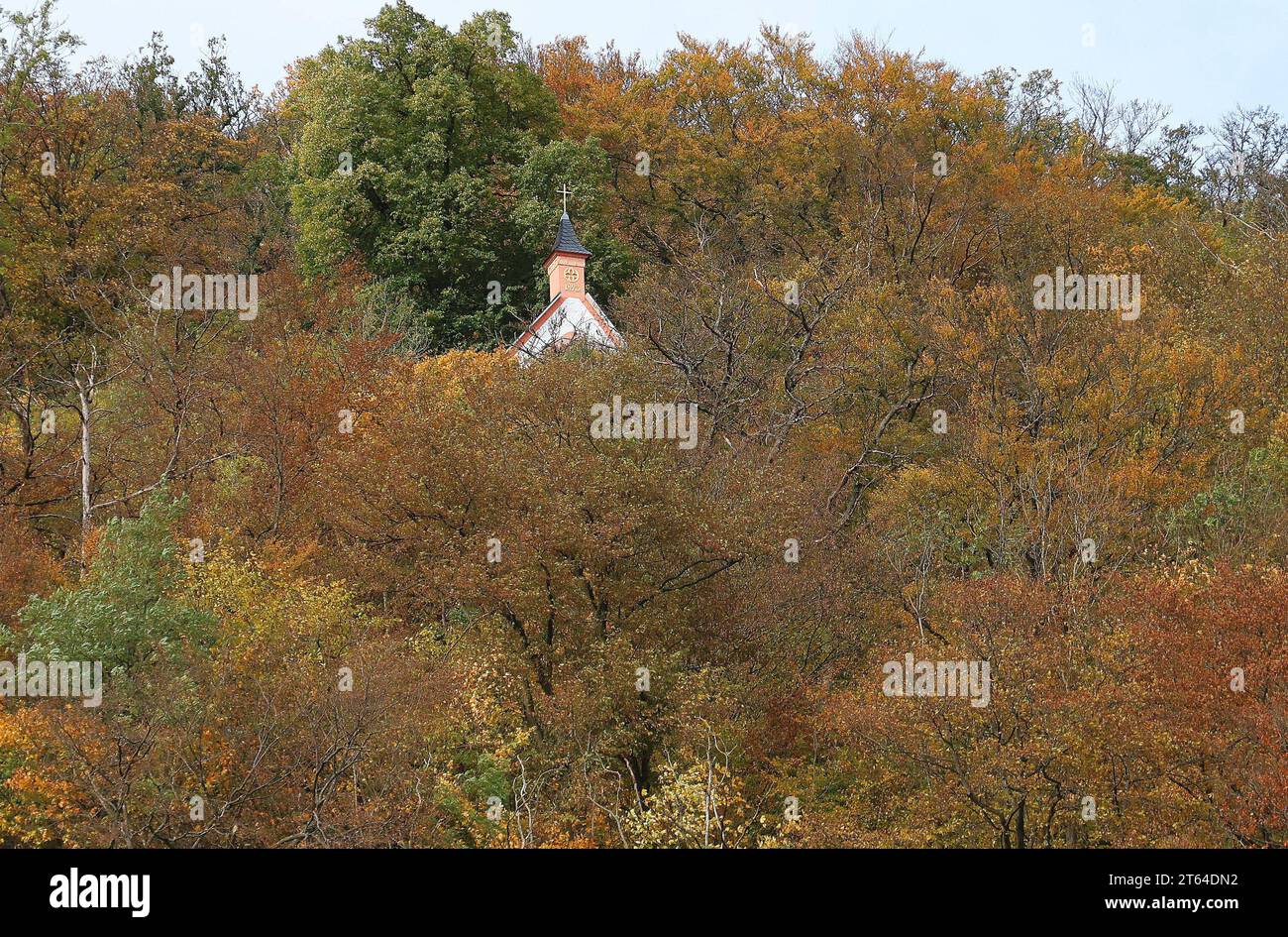 Suhl 30.10.2023, Suhl, Spitze der Ottilienkapelle *** Suhl 30 10 2023 ...
