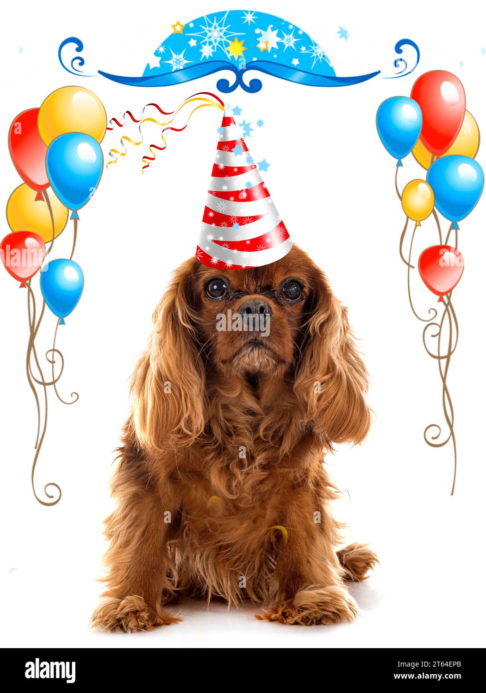 King happy new year Cut Out Stock Images & Pictures - Alamy