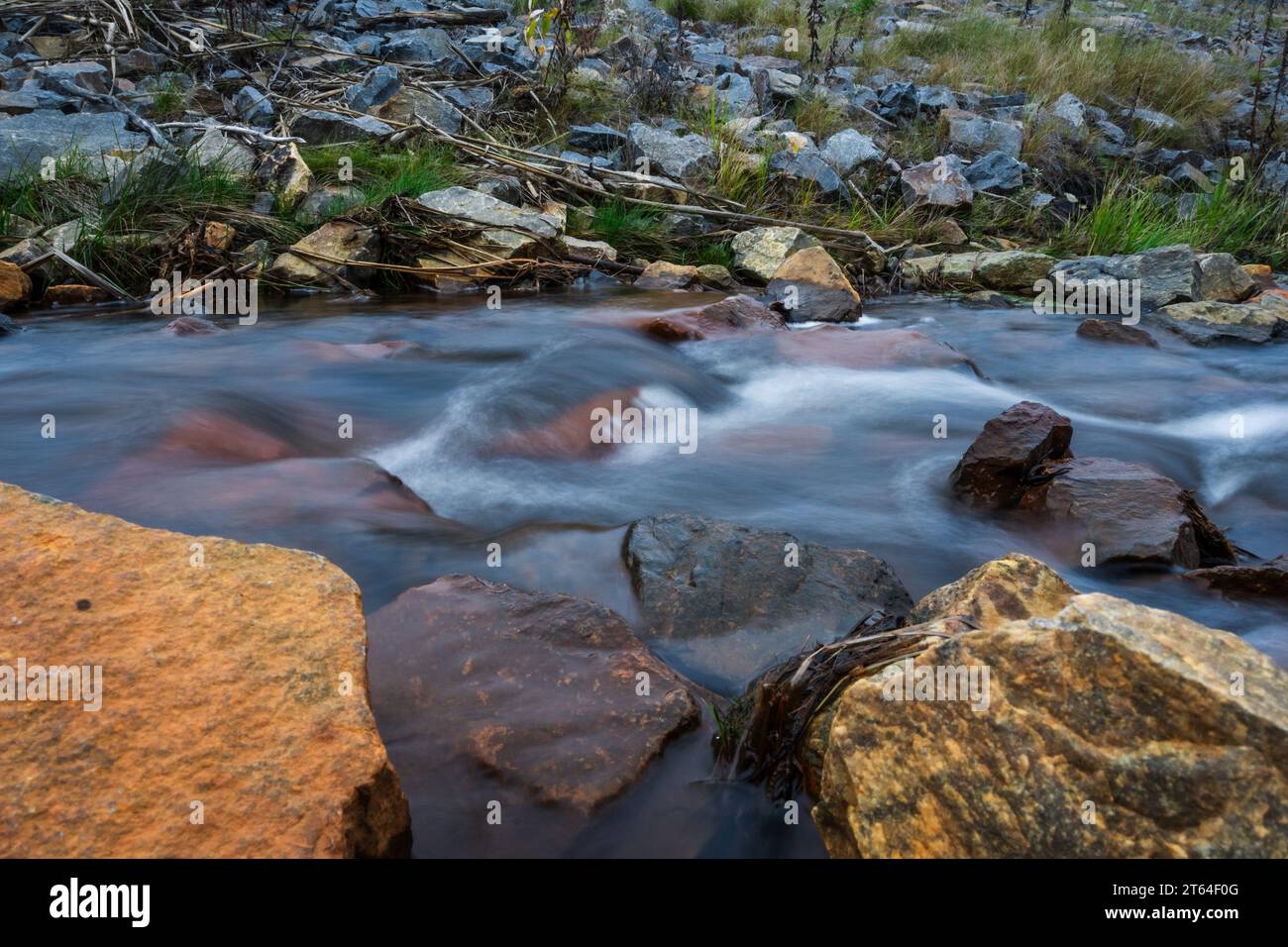 Water flowing on top of rocks in a creak with a green backdrop and ...
