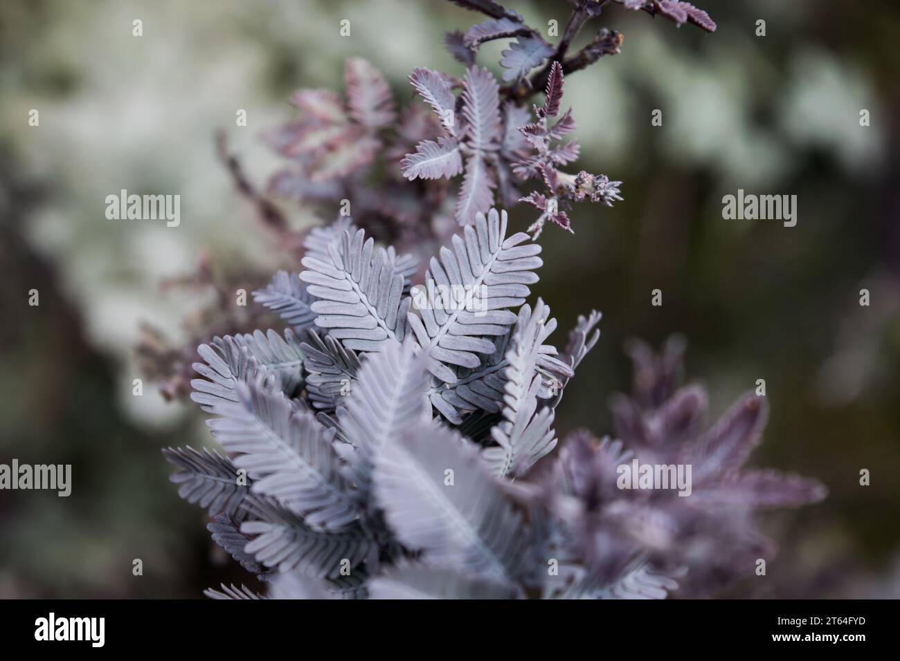 Exterior view natural environment hi-res stock photography and images ...