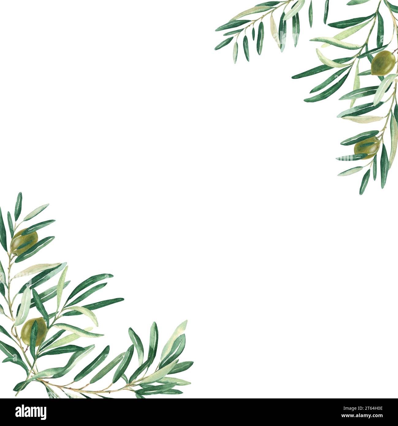 Olive tree square frame, border. Green olives and branches corners ...