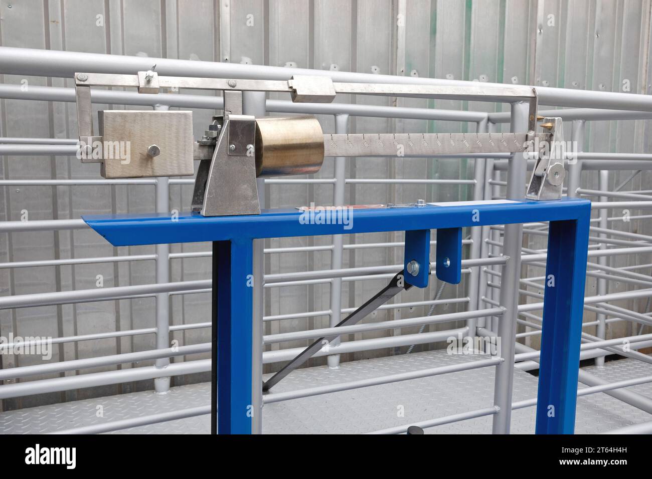 Big Scale With Cage for Livestock Animals Farm Equipment Stock Photo ...