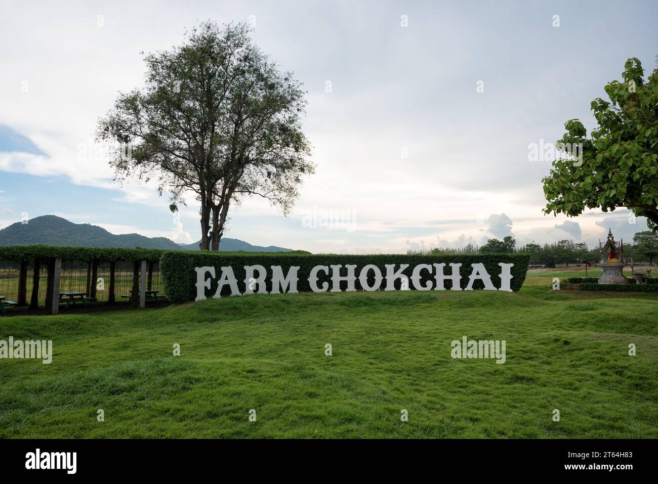 Chok Chai Farm, Khao Yai, Thailand - Jun 2, 2019: Beautiful stunning ...