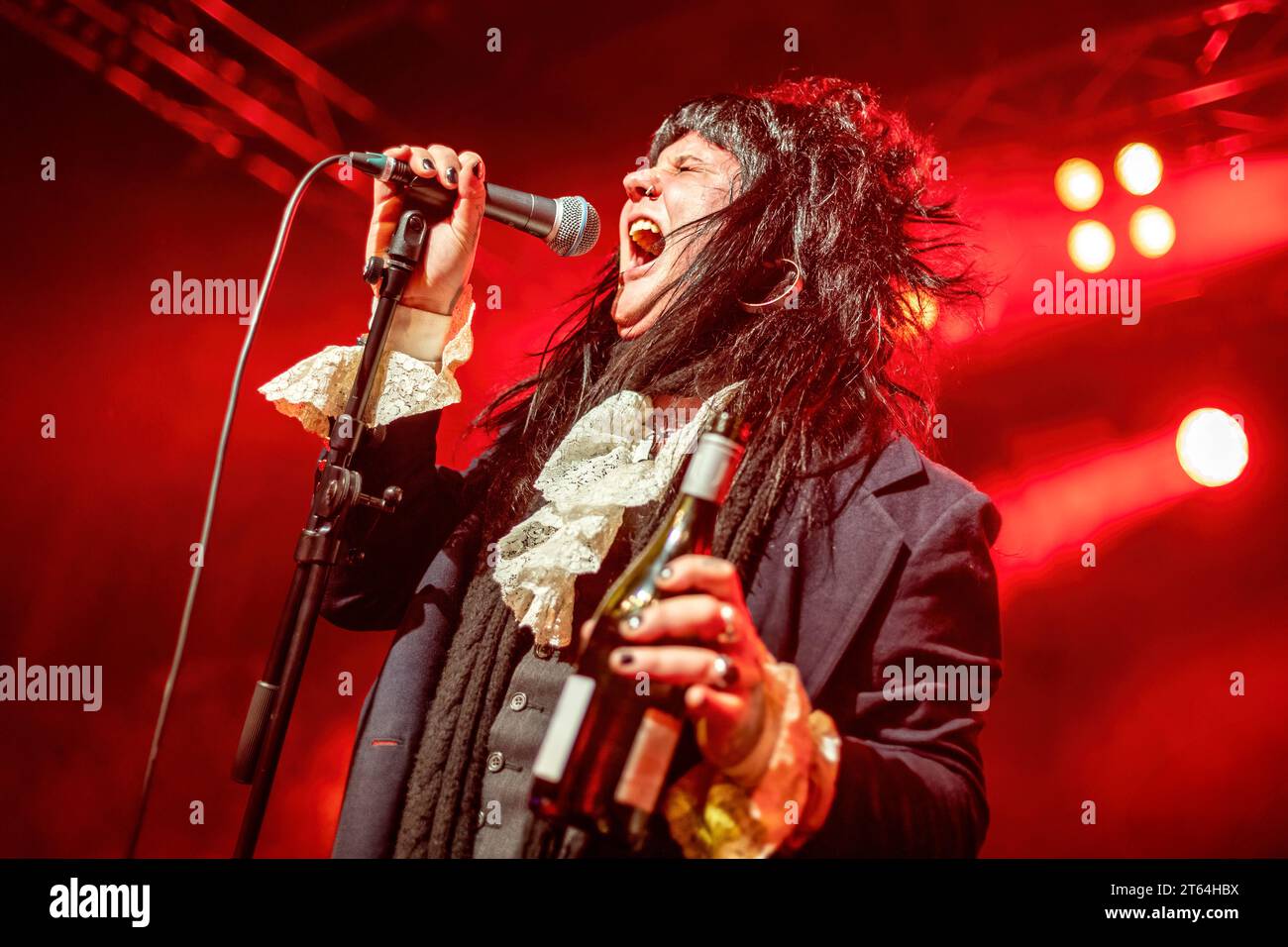 Trench dogs band hi-res stock photography and images - Alamy