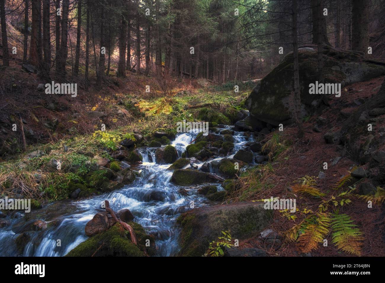 Mountain stream flows in hi-res stock photography and images - Alamy