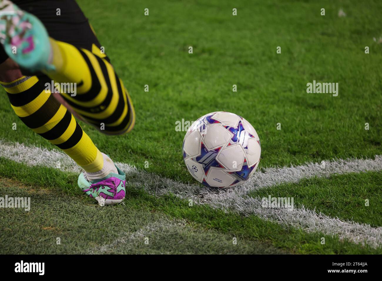 Dortmund, Deutschland. 07th Nov, 2023. firo: November 7th, 2023 ...