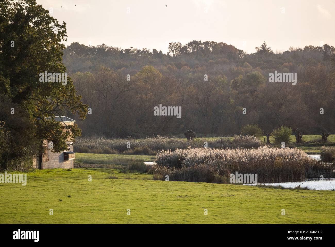 The Zeiss birdwatching hide. A day out at WWT Slimbridge Stock Photo ...