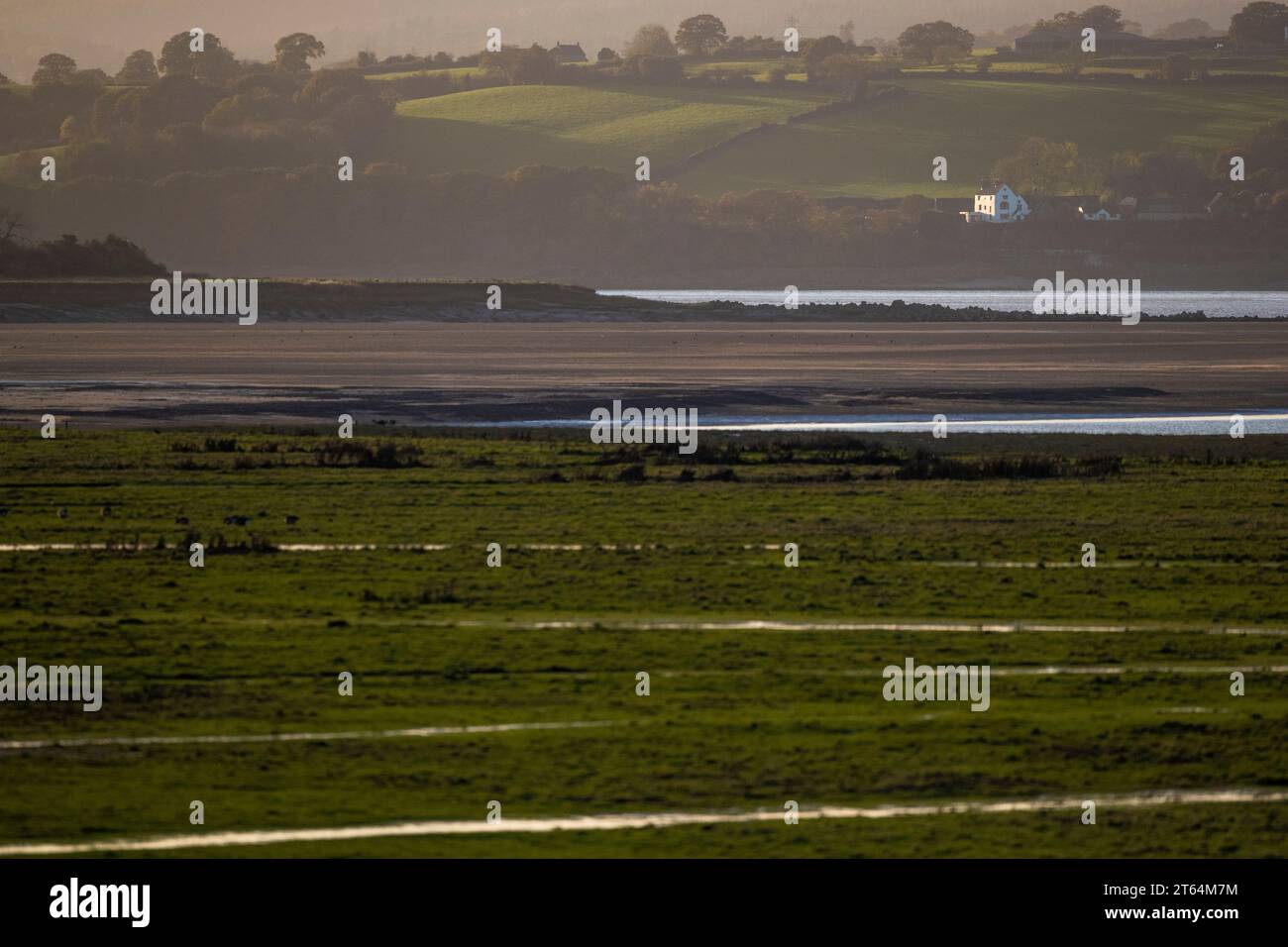 Frampton marsh nature reserve hi-res stock photography and images - Alamy