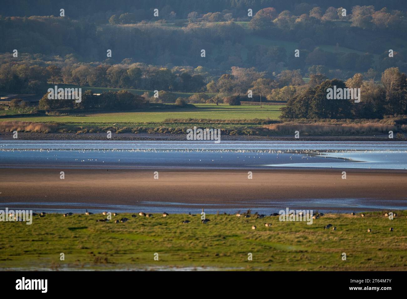 Frampton marsh nature reserve hi-res stock photography and images - Alamy