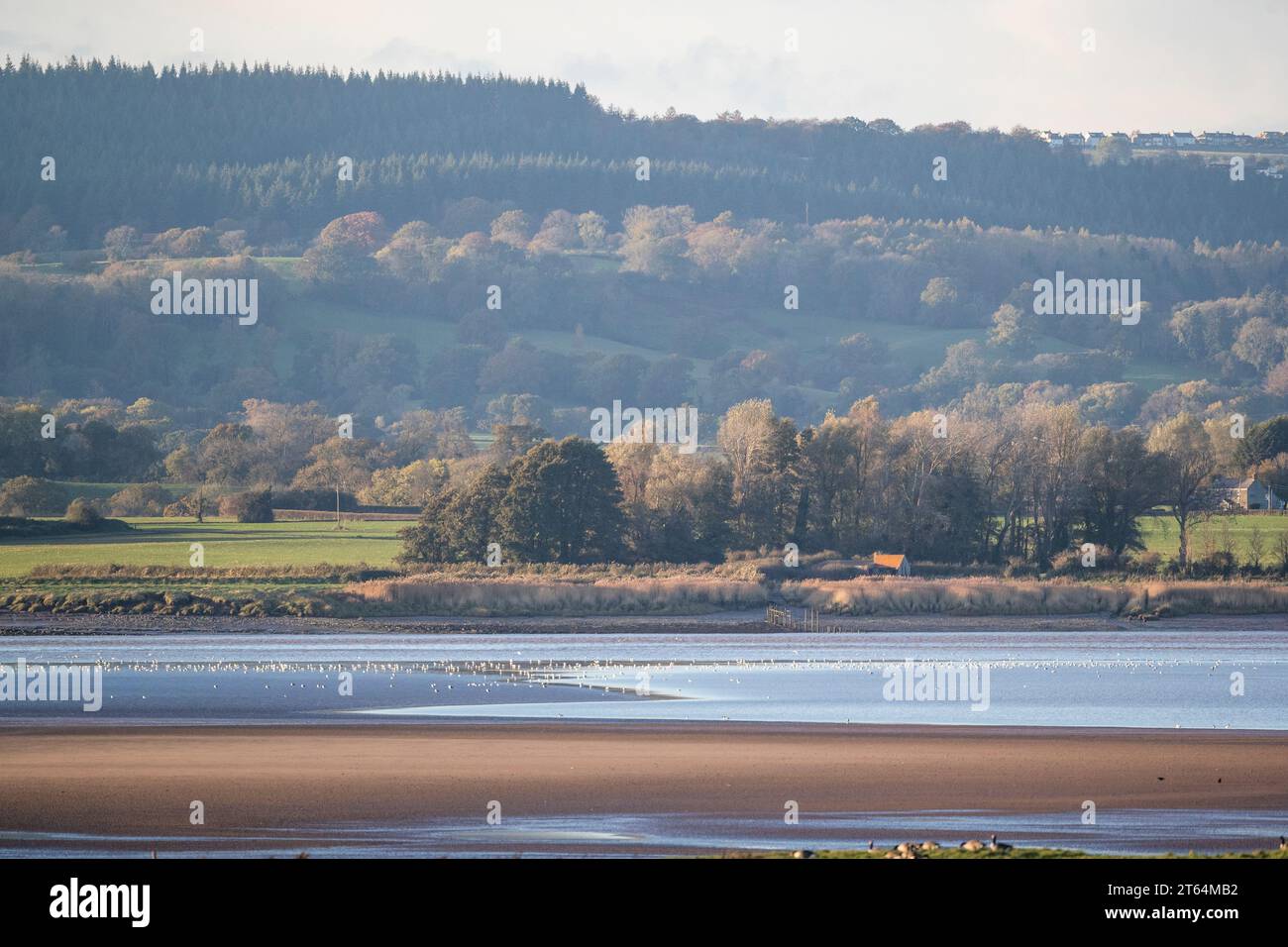 Frampton marsh nature reserve hi-res stock photography and images - Alamy