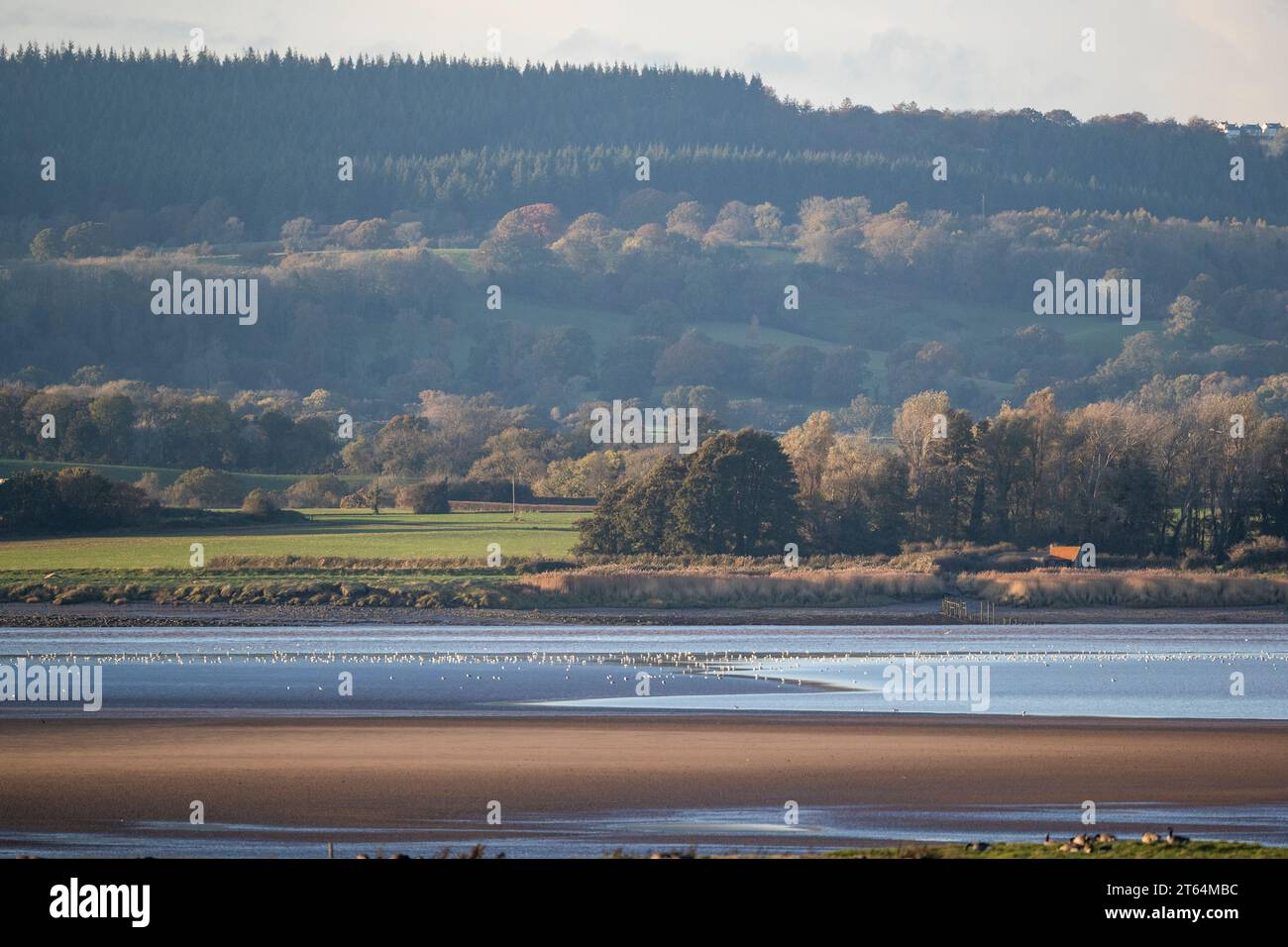 Frampton marsh nature reserve hi-res stock photography and images - Alamy