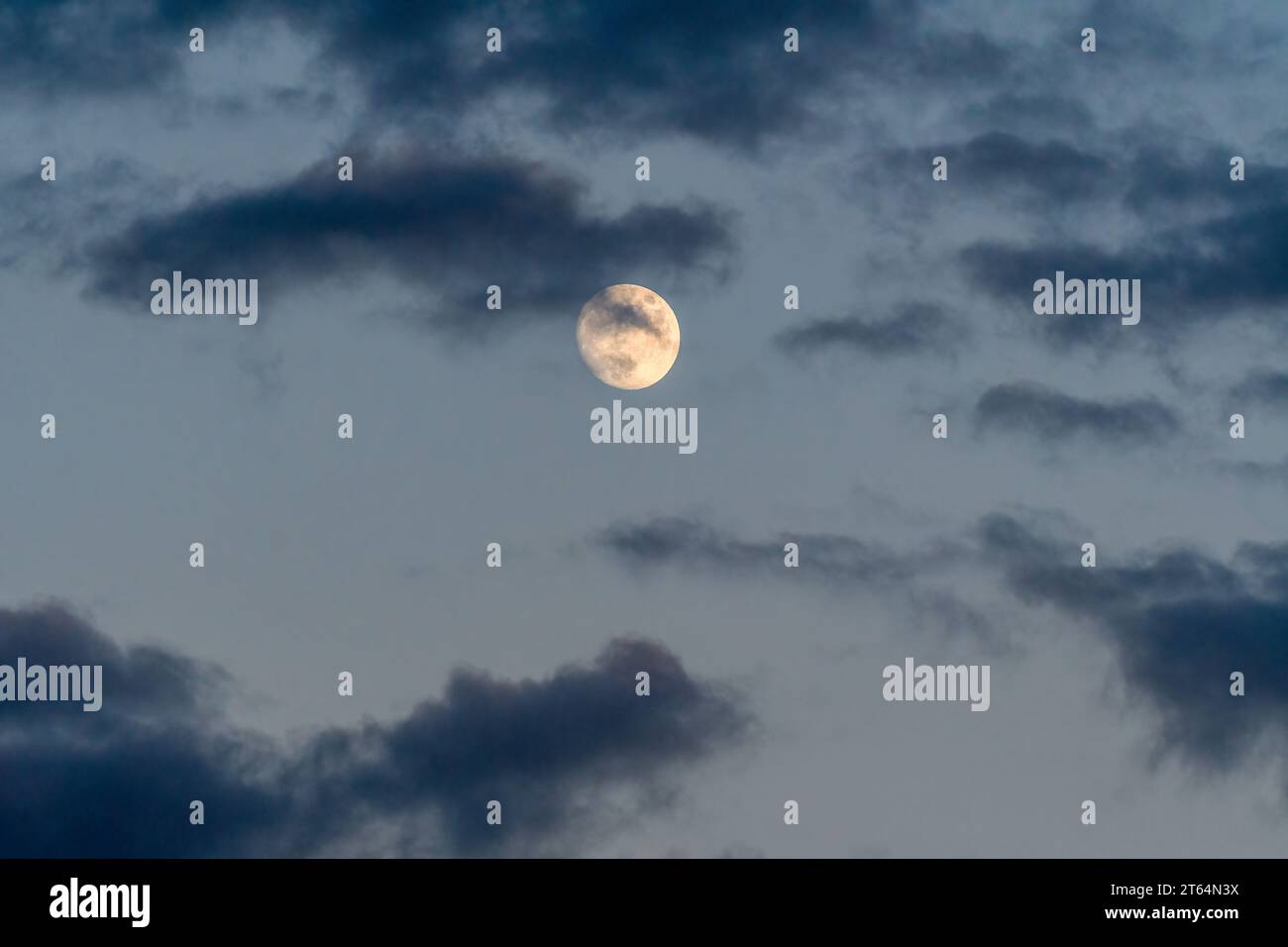 Dramatic three quarters hi-res stock photography and images - Alamy