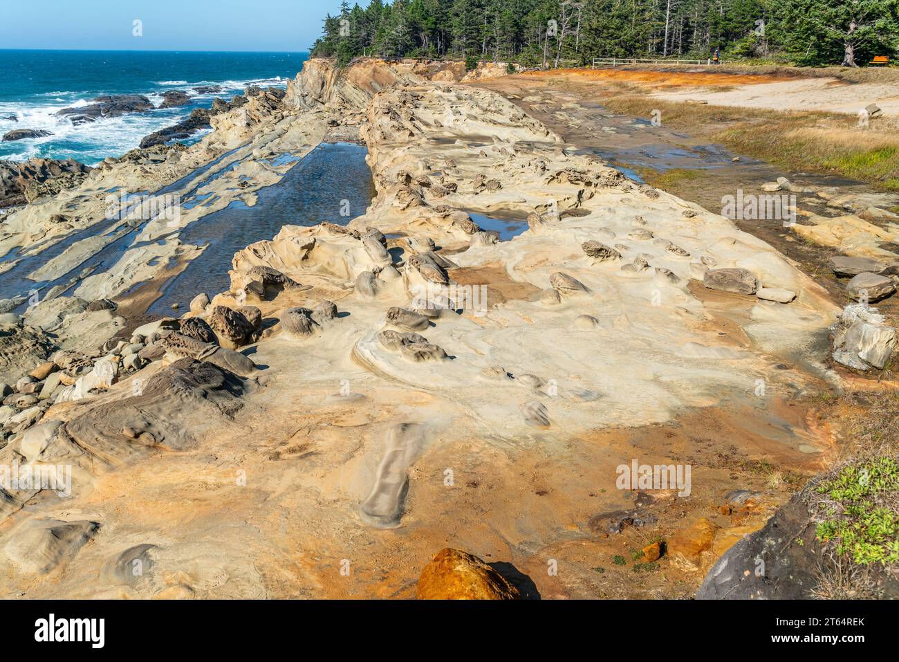 A view of interesting terrain at Shore Acres State Park in Oregon State ...