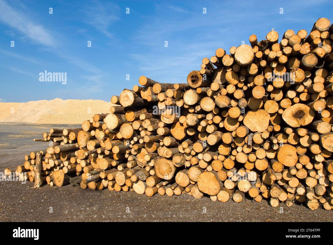 Sawdust and wood piles, stacked, wood, forestry, industry, sawmill in ...