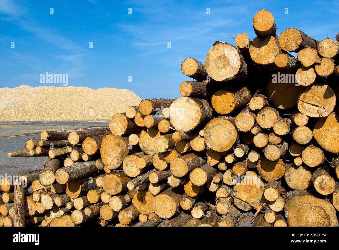 Sawdust and wood piles, stacked, wood, forestry, industry, sawmill in ...