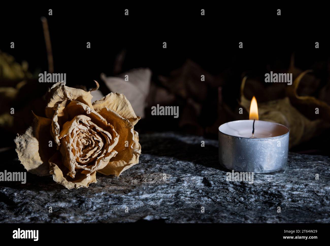 Candle flower on golden hi-res stock photography and images - Alamy
