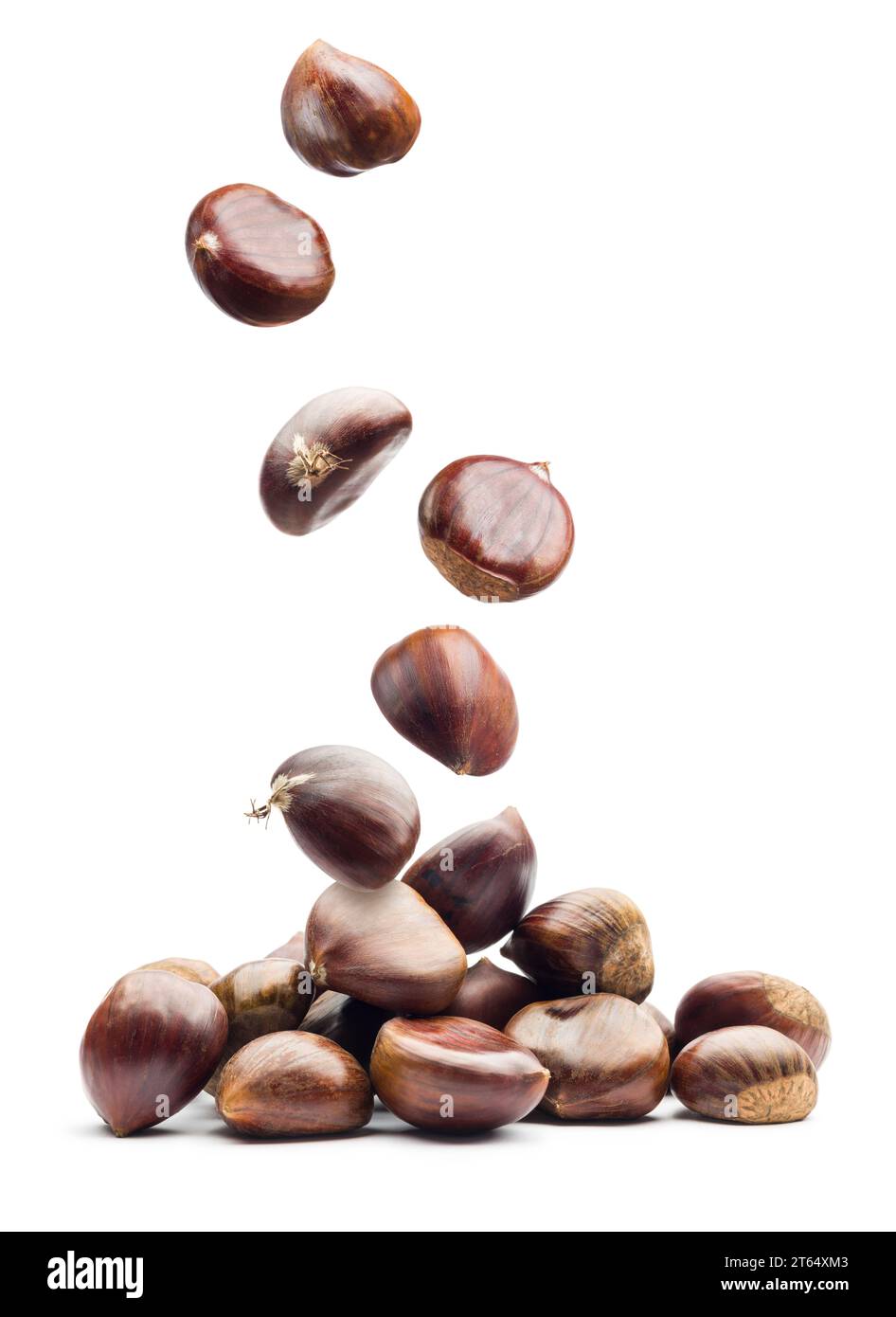 Falling chestnuts on bunch on white background Stock Photo - Alamy