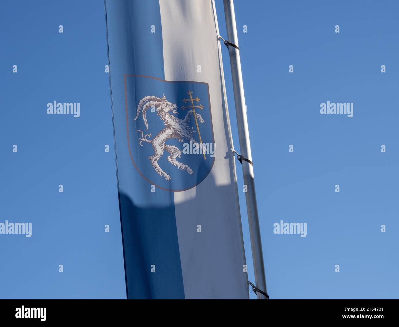 Silver ibex with patriarchal cross, flag with the coat of arms of St ...