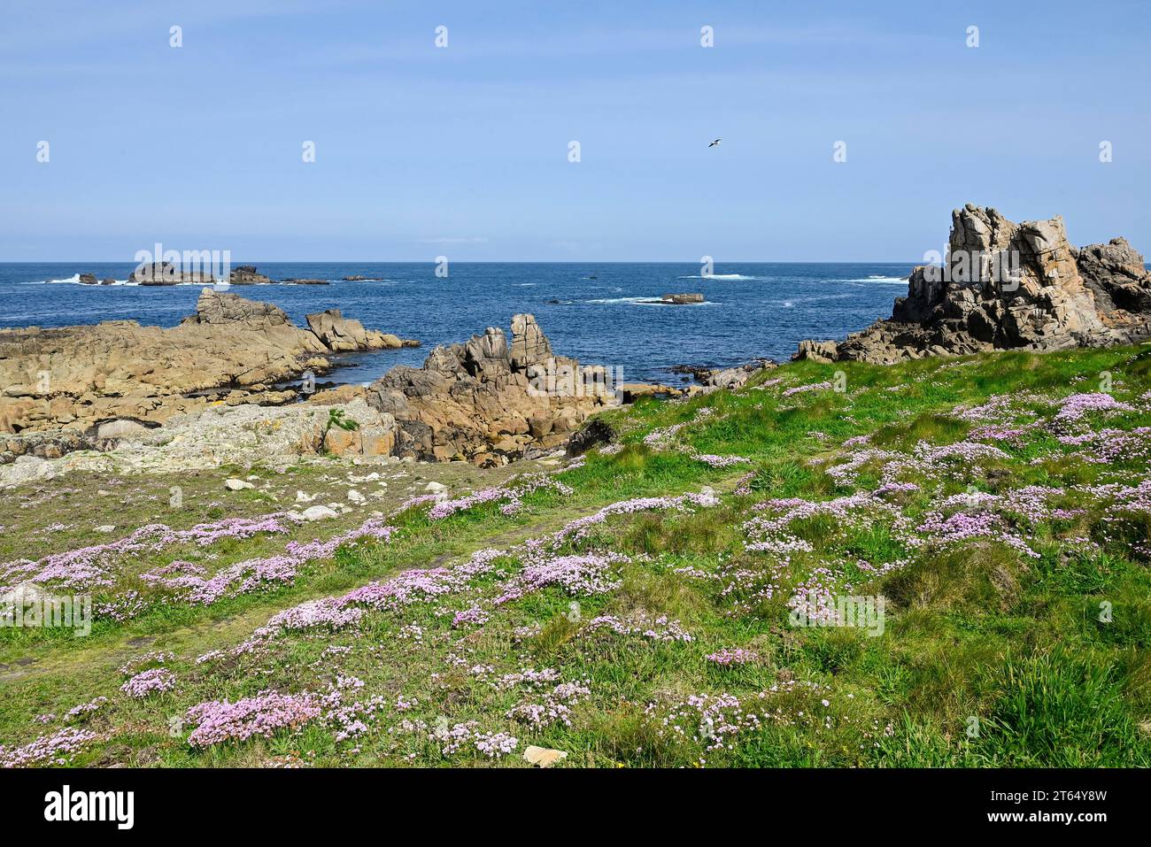 Grassy rocky coast in the Atlantic Ocean, Ouessant Island, Finistere ...