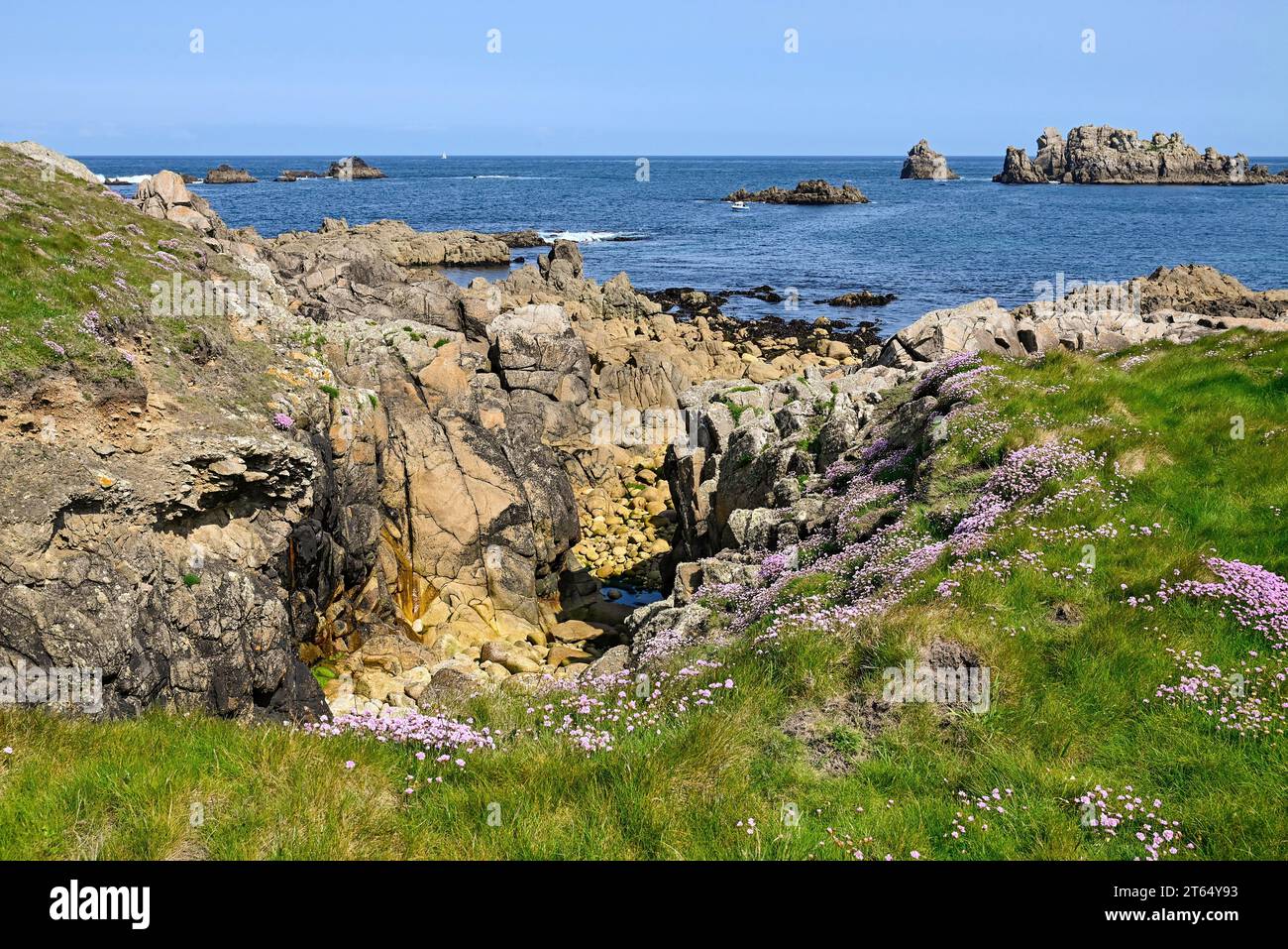 Grassy rocky coast in the Atlantic Ocean, Ouessant Island, Finistere ...