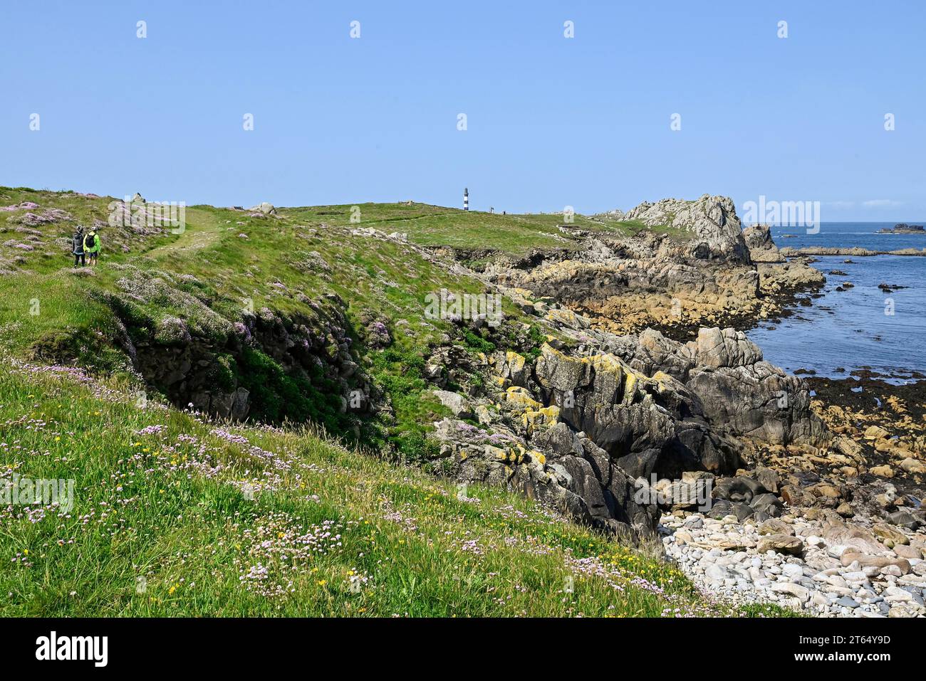 Grassy rocky coast in the Atlantic Ocean, Ouessant Island, Finistere ...