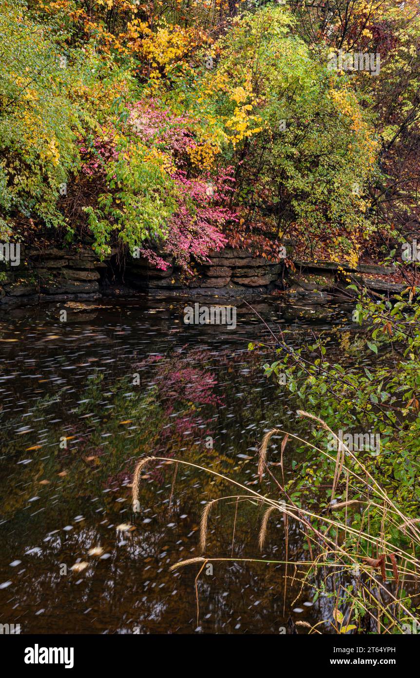 Sawmill Creek pools just before spilling over a man made falls (1930's ...