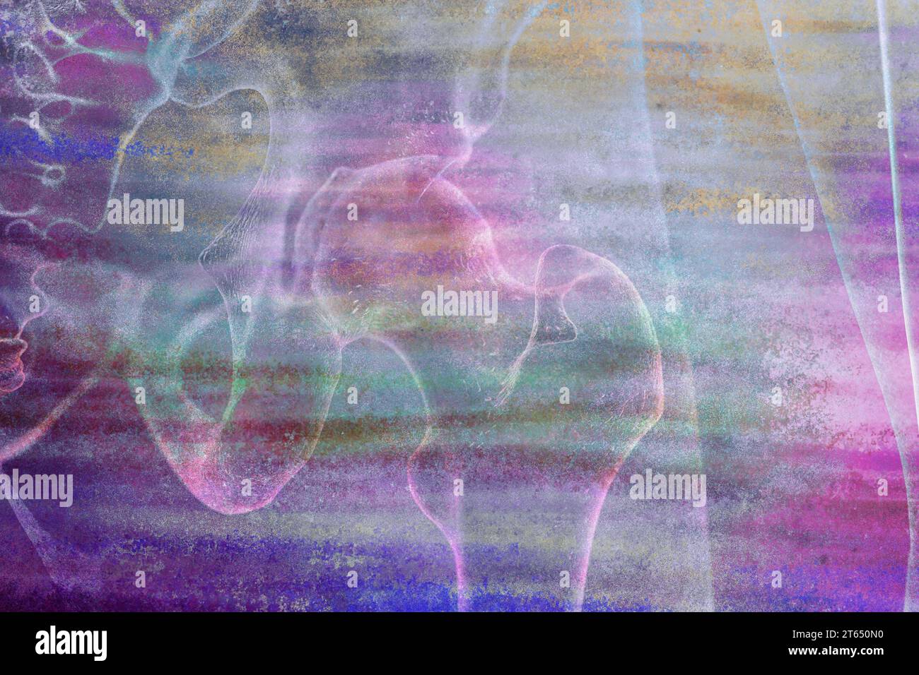 Cox apple illustration hi-res stock photography and images - Alamy