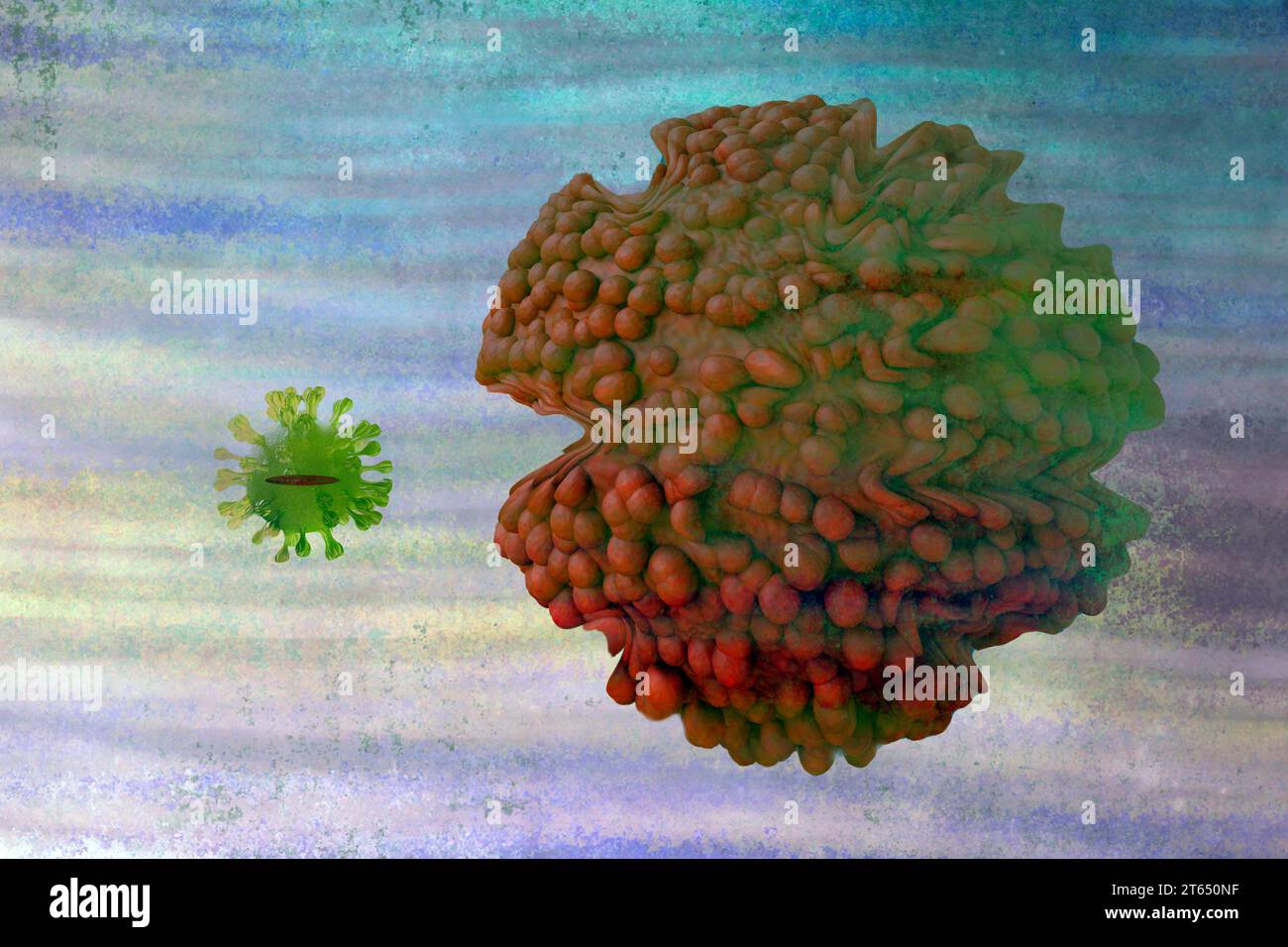 Infection carrier hi-res stock photography and images - Alamy