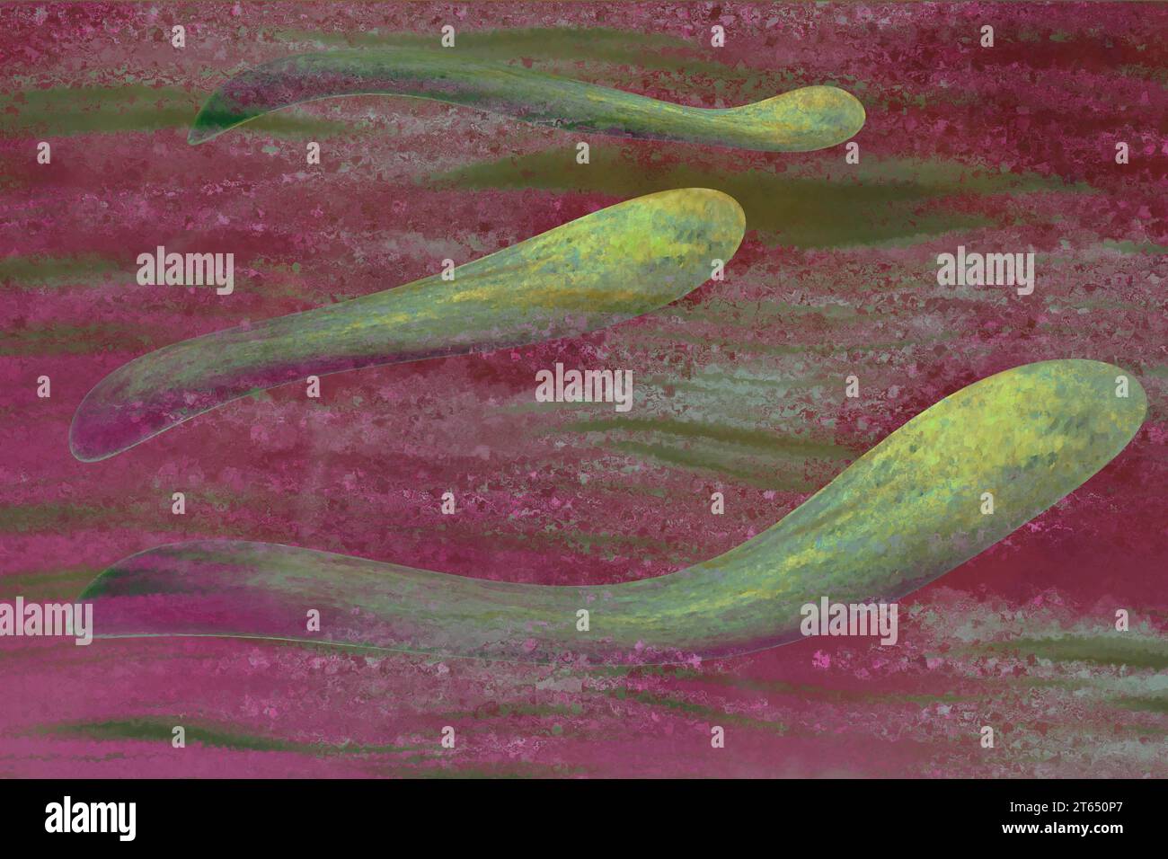 Illustration Bacteria swimming Stock Photo - Alamy