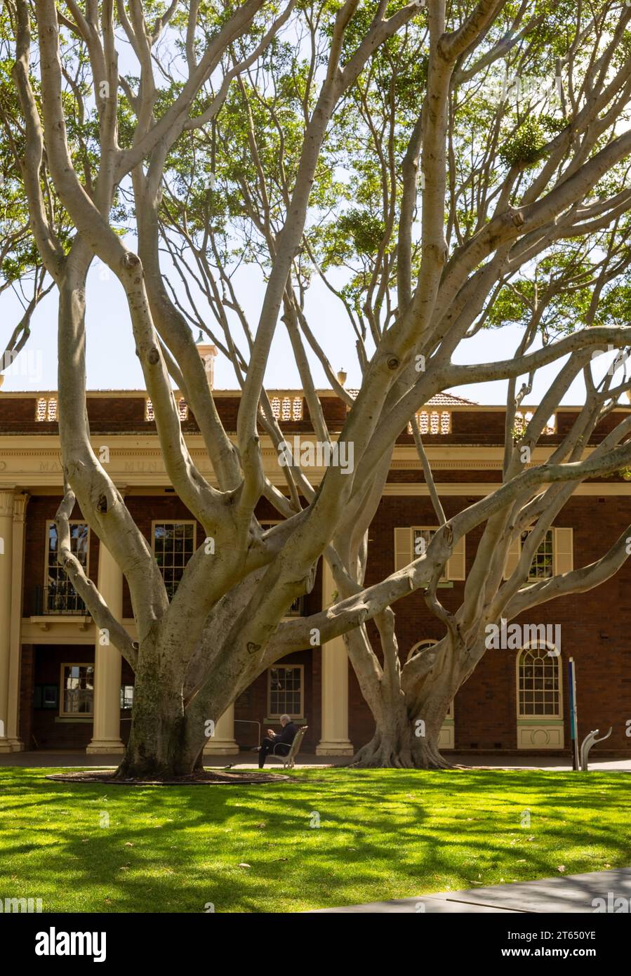 Town Hall is a landmark civic building, Manly, Sydney, NSW, Australia ...