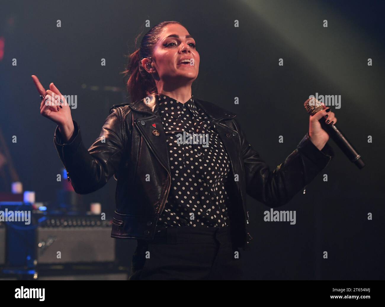 Fort Lauderdale FL, USA. 07th Nov, 2023. The Interrupters perform ...