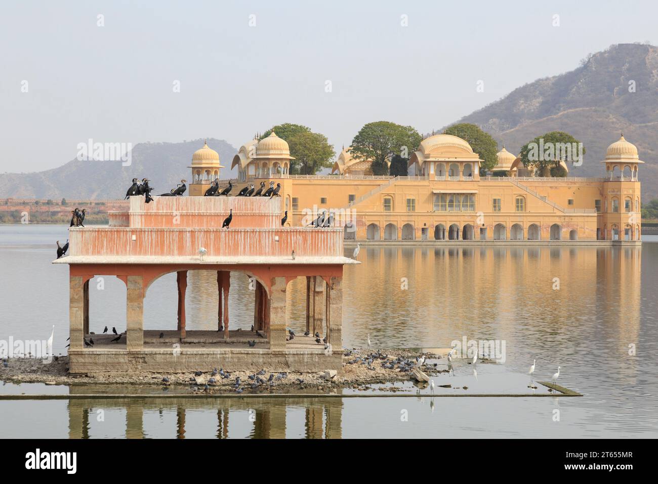 Jal Mahal der Wasserpalast, Jaipur, Rajasthan, Indien Stock Photo - Alamy