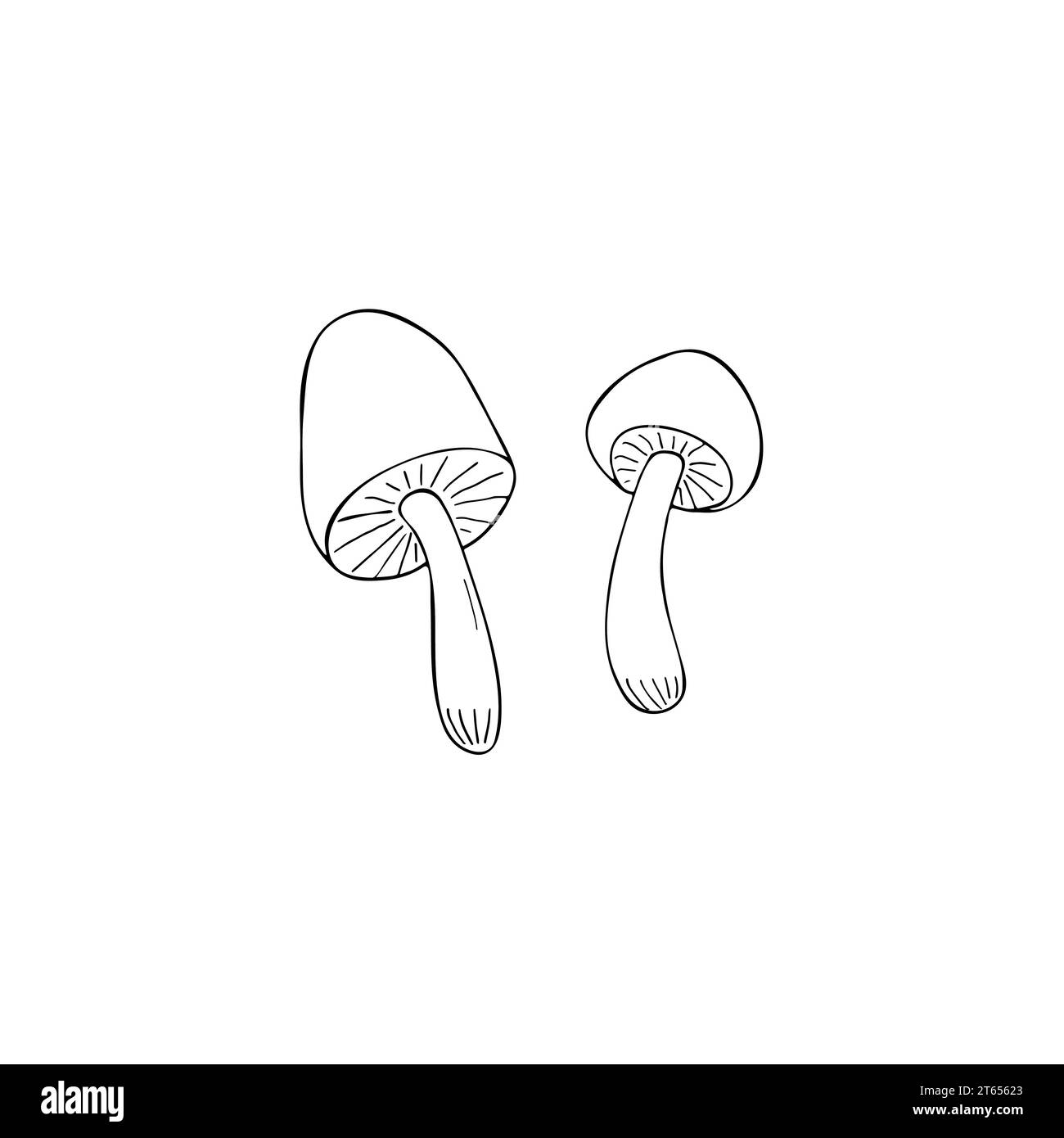 Hand drawn simple mushrooms. Isolated doodle vector illustration ...